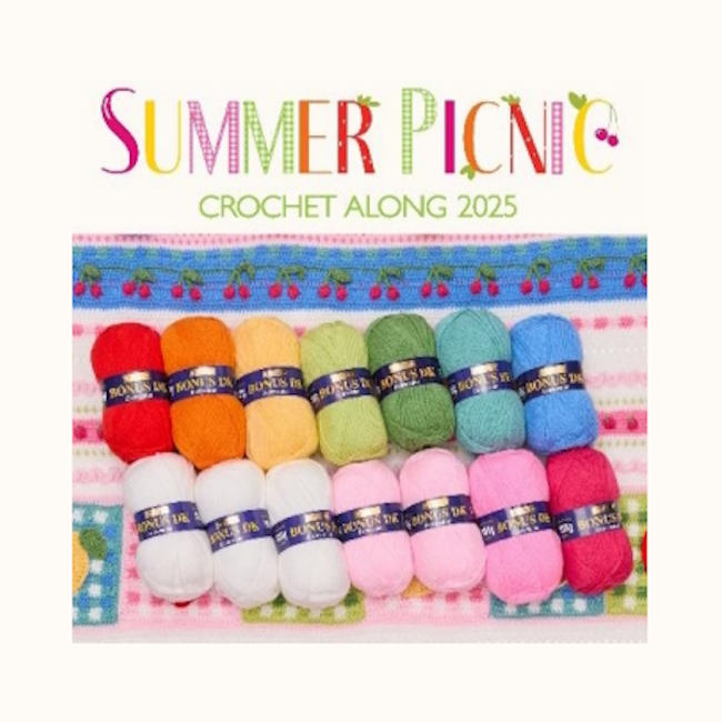 Hayfield Bonus DK Yarn Sirdar 100g 1 Supplied